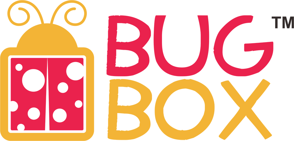 Family Math Night Project Series: Bug Box – Karyn's Blog